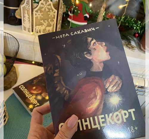 Солнечный корт книга