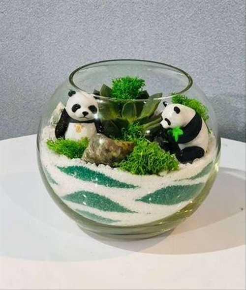 Круглый флорариум с суккулентом и пандами