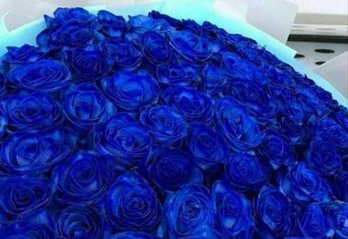 Розы. Синие розы. Букет синих роз