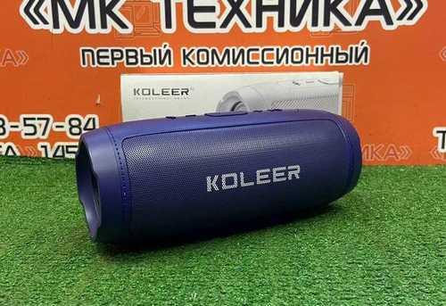 Акустика koleer Better Sound C1000