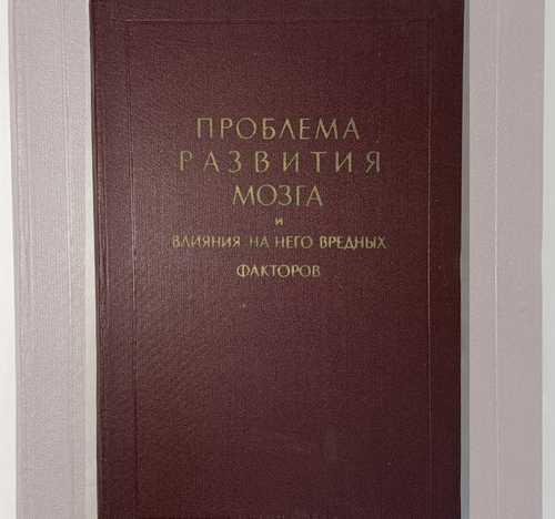 Проблема развития мозга и влияния на него вредных