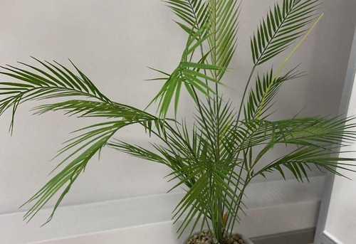 Искусственное растение - Пальма Арека