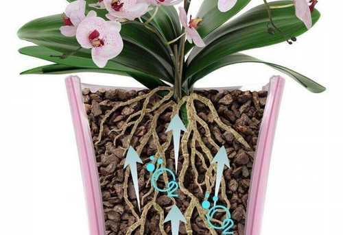 Кашпо интерьерное арте со вставкой для орхидей