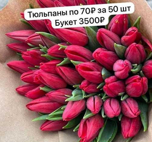 Тюльпаны 50 шт
