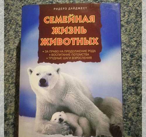 DVD диски