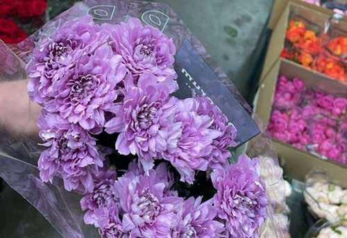 Букет из розовых хризантем доставка цветов Москва