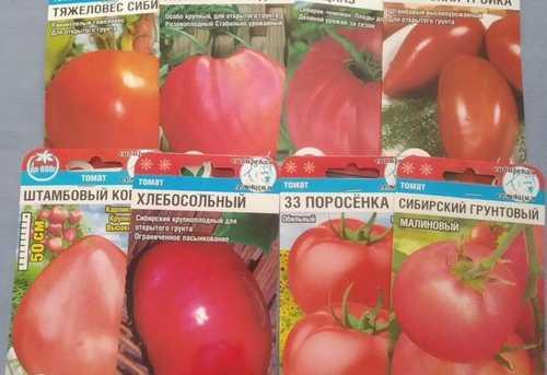 Рассада низкорослых томатов для открытого грунта