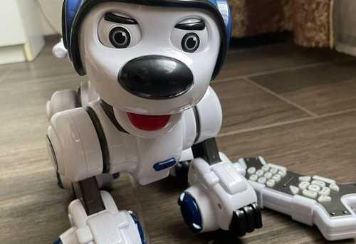 Интерактивный робот-щенок