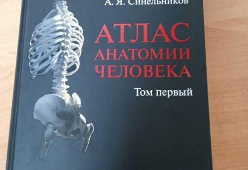 Атлас анатомии человека Синельников