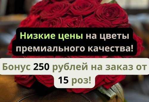 Розы красные, 15 штук