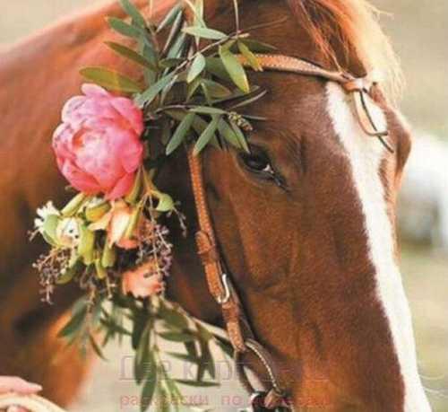 Алмазная мозаика 40x50 Лошадь с цветочным украшени