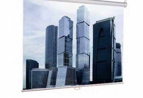 Экран для проектора Lumien Eco Picture LEP-100102