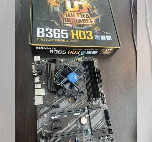 Материнская плата Gigabyte B365 HD3