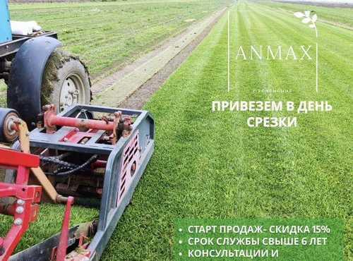 Рулонный газон Элитный