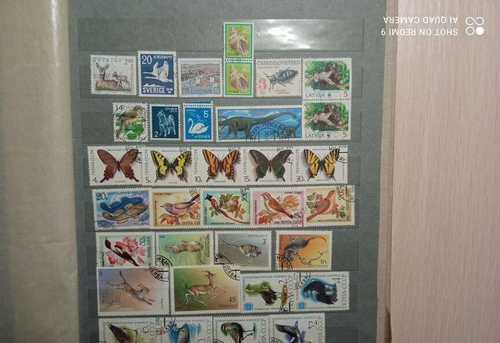 Почтовые марки. Фауна