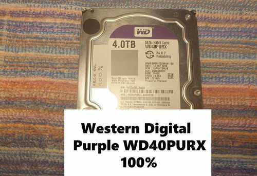 Жёсткий диск 4тб/TB WD40purx (100)