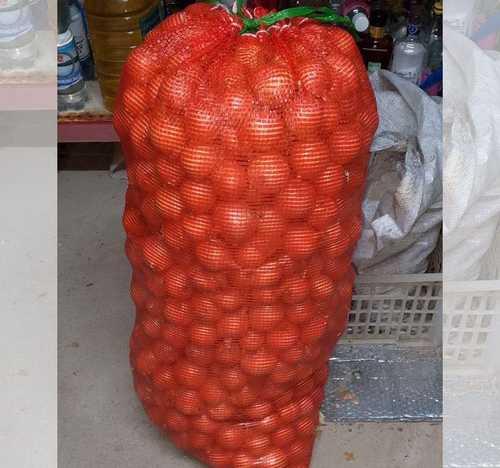 Лук морковка