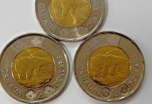 Монета 2 доллара Канады. Медведь