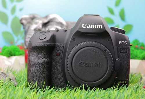 Canon EOS 5D Mark II Body ID366