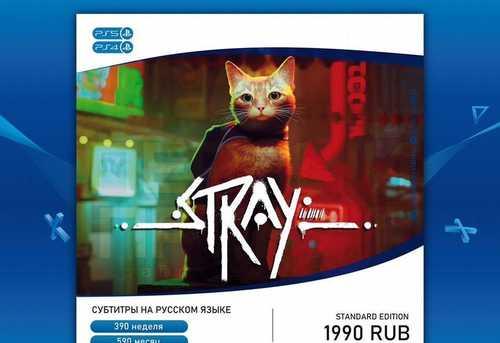 Stray (PS5, PS4) прокат, продажа RU