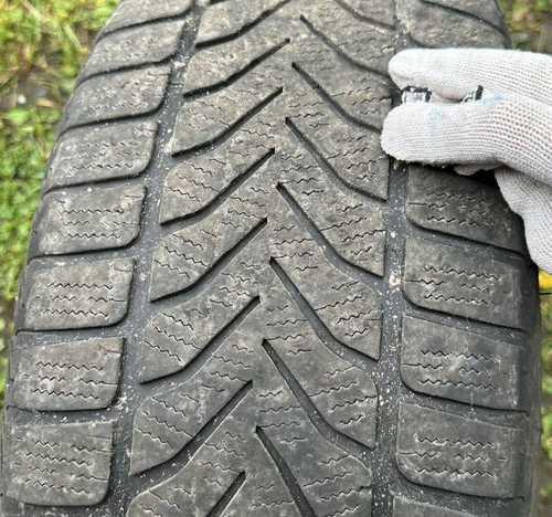 Accelera Accelera Summer 225/55 R17