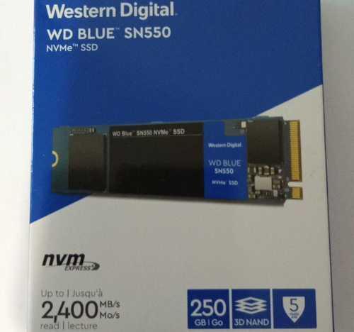 SSD M.2 NVMe WD 250 GB