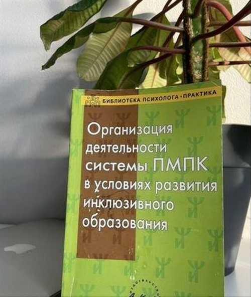 Организация деятельности системы пмпк»