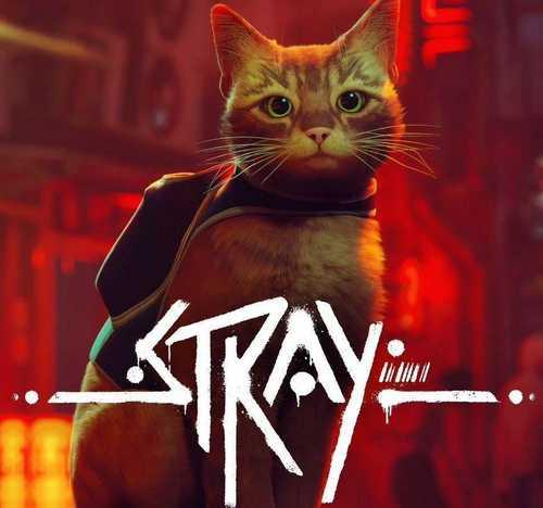 Stray на PS4 и PS5