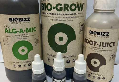 Алоказия, Антуриум, Растение,Удобрение Bio Bizz