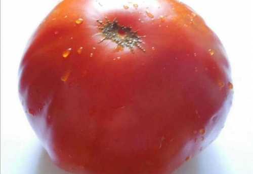 Набор семян крупноплодных томатов 18 сортов