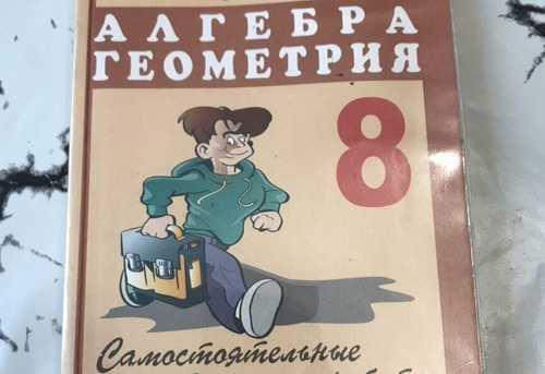 Алгебраическая геометрия 8 класс