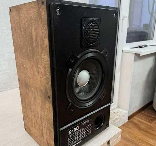 Radiotehnika s 30 custom