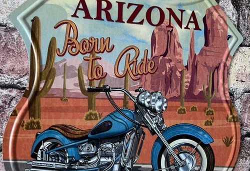 Декор на стену Arizona Born to Ride