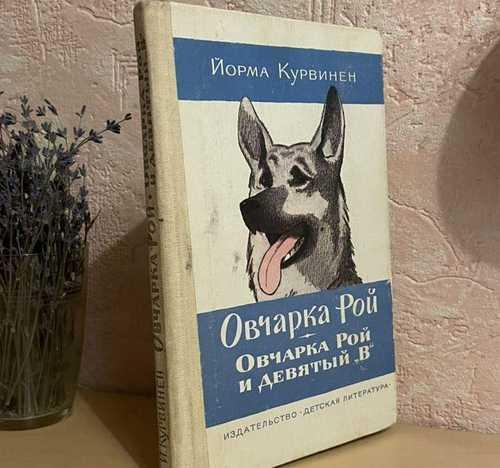 Йорма Курвинен: Овчарка Рой. и девятый «В» 1984г