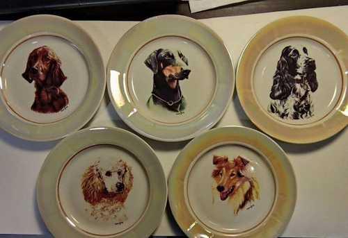 Настенная тарелка декоративная с собакой 5 штук