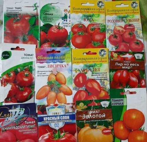 Рассада томатов детерминатные сорта