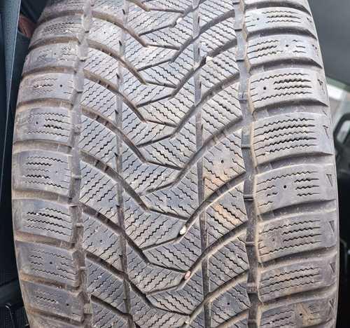 Triangle WinterX TW401 295/30 R22