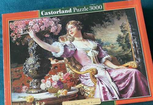 Пазл 3000 деталей