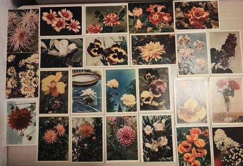 Открытки, 50е годы, тематика " Цветы"