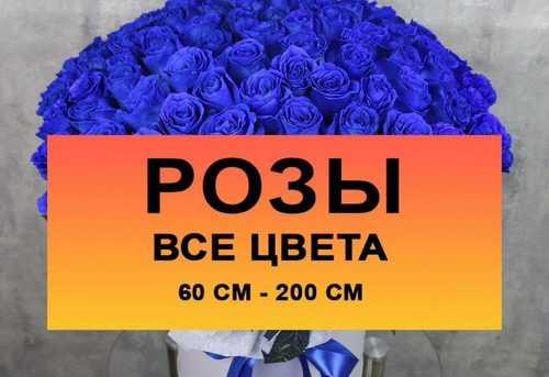 101 роза букет роз от поставщика