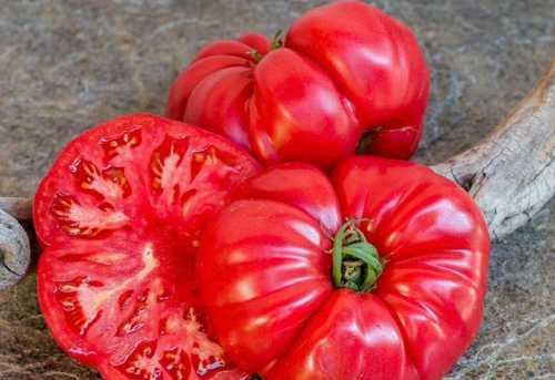 Домашние семена томата Русский Гигант