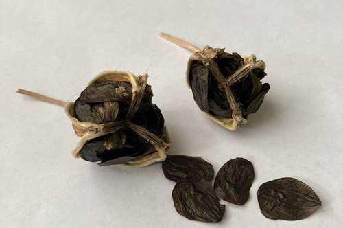 Семена амариллиса
