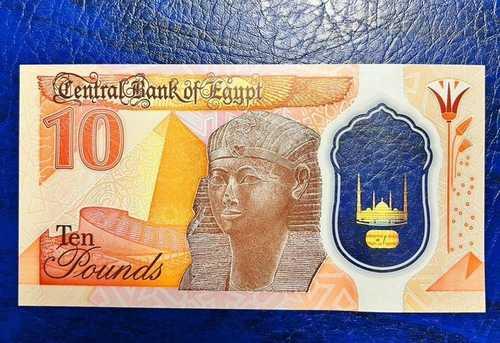 Полимерная банкнота Египет