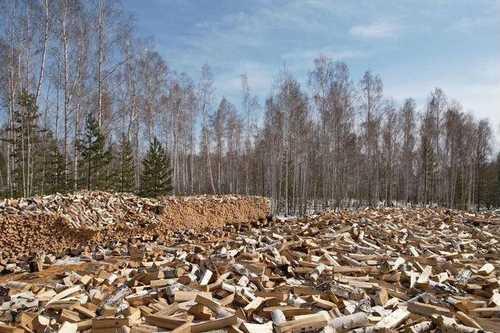 Дрова березовые колотые в сетках