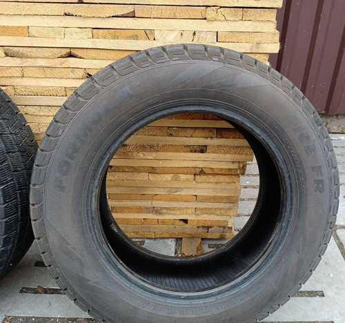 Formula Ice FR 195/65 R15 95T