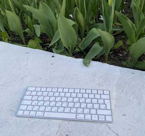 Клавиатура Apple magic keyboard 2