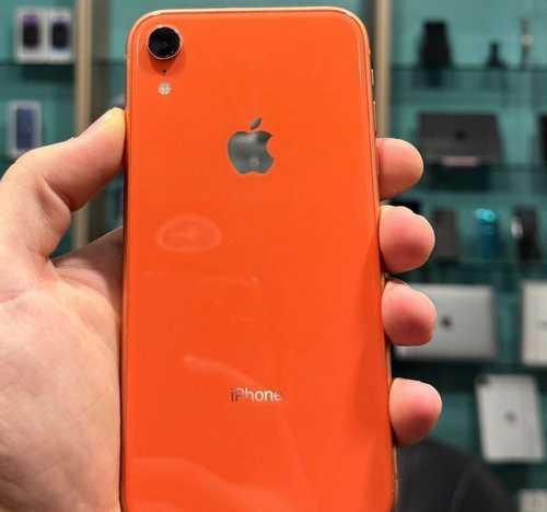 iPhone Xr, 256 ГБ