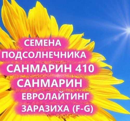Семена подсолнечника Санмарин 410 Гибрид, Казань
