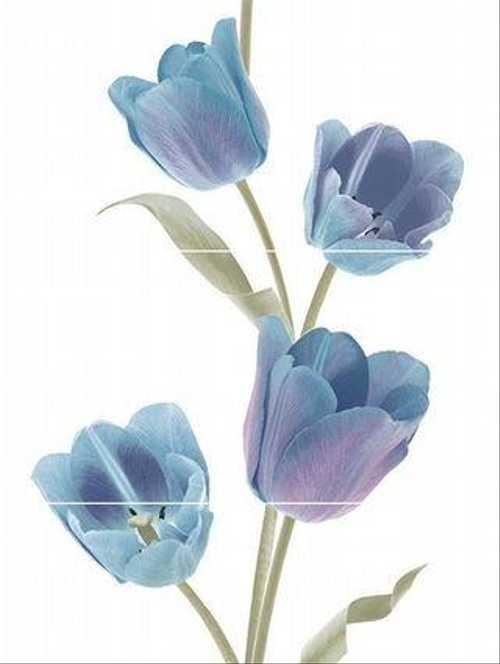 Панно Keros Ceramica Varna Tulips Frios 50x75