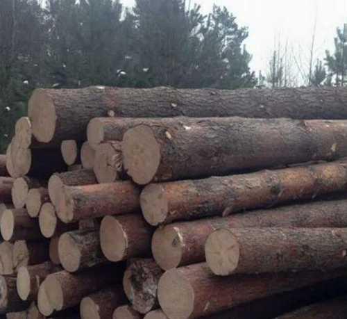 Сосна деловая древесина 26-46